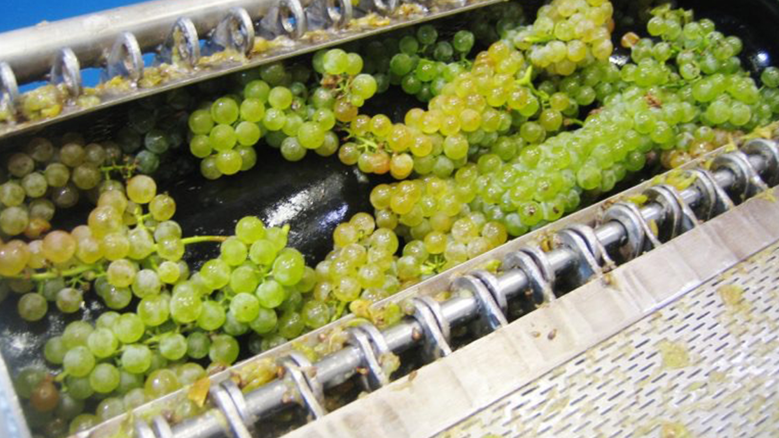 How to make sweet wines? – FRODOER DRINKS ACADEMY