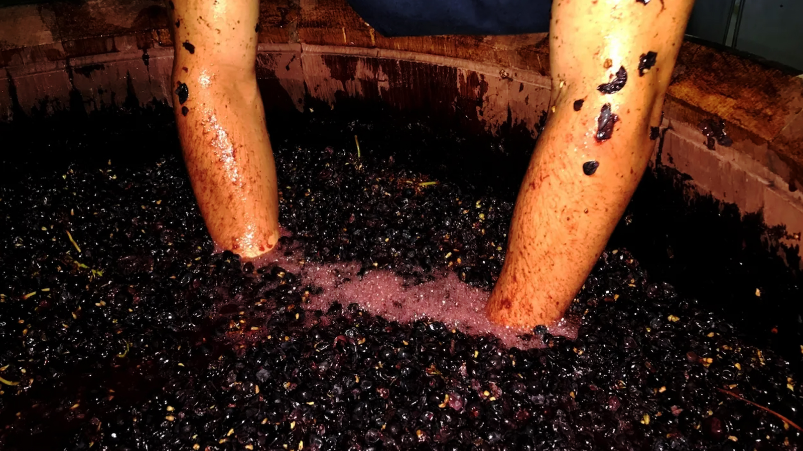 Red winemaking process – FRODOER DRINKS ACADEMY